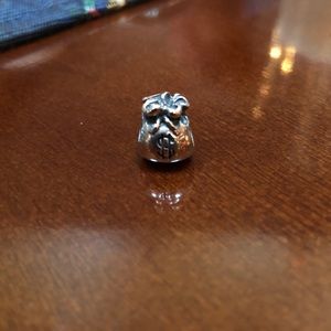 Jewelry | Pandora Charm | Poshmark